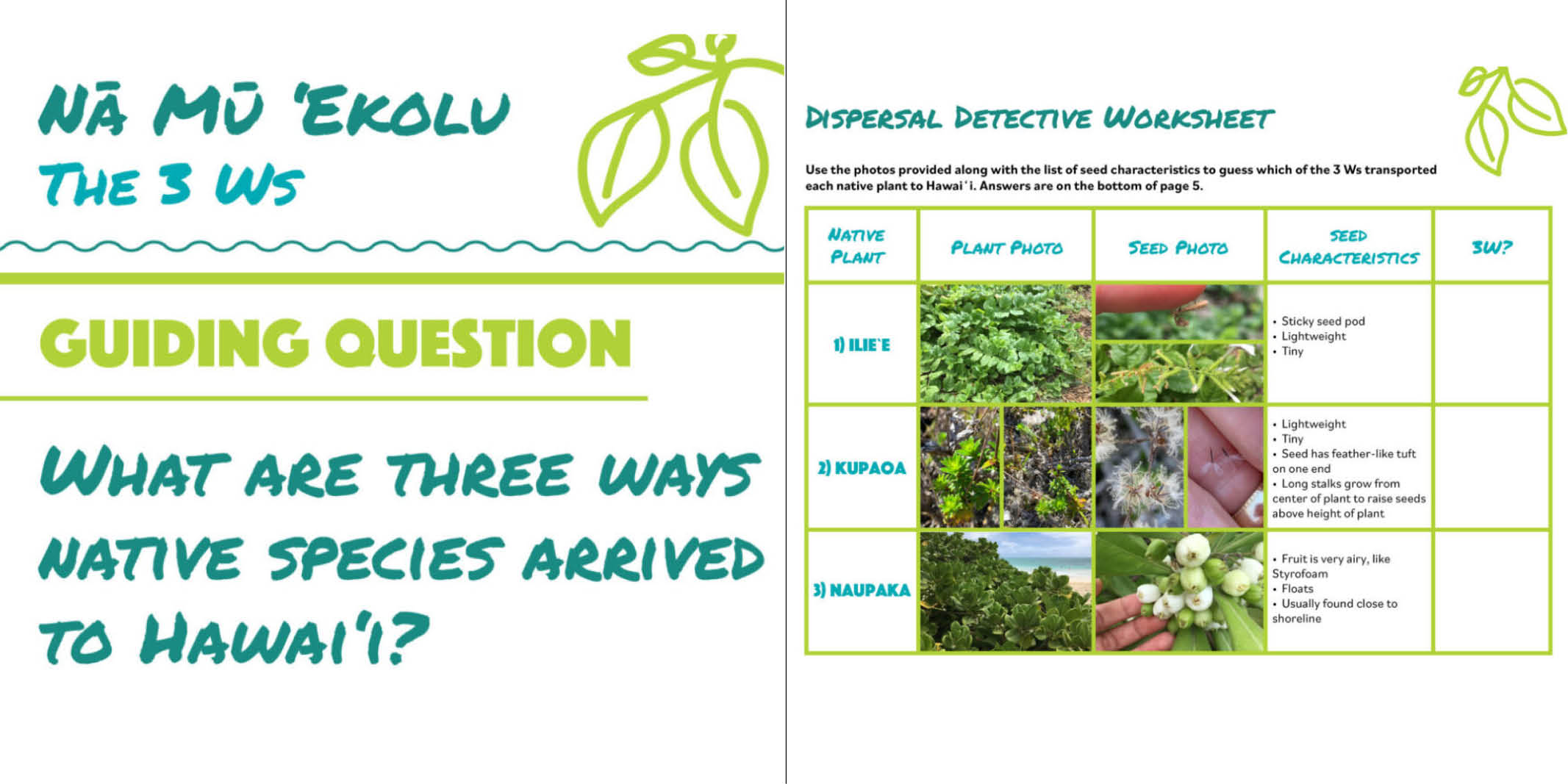 Learning Activity Guides - Three Mountain Alliance