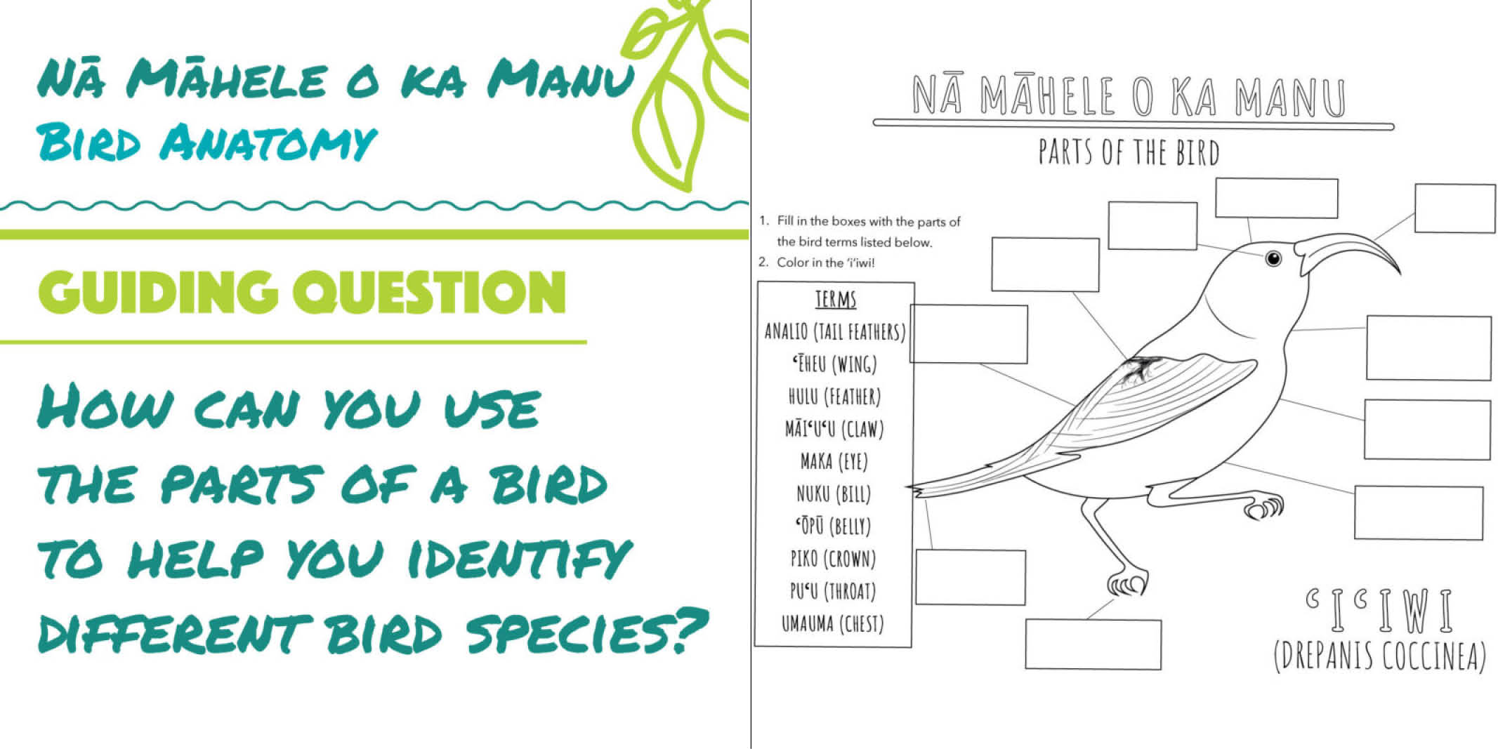 Nā Māhele o ka Manu - Three Mountain Alliance